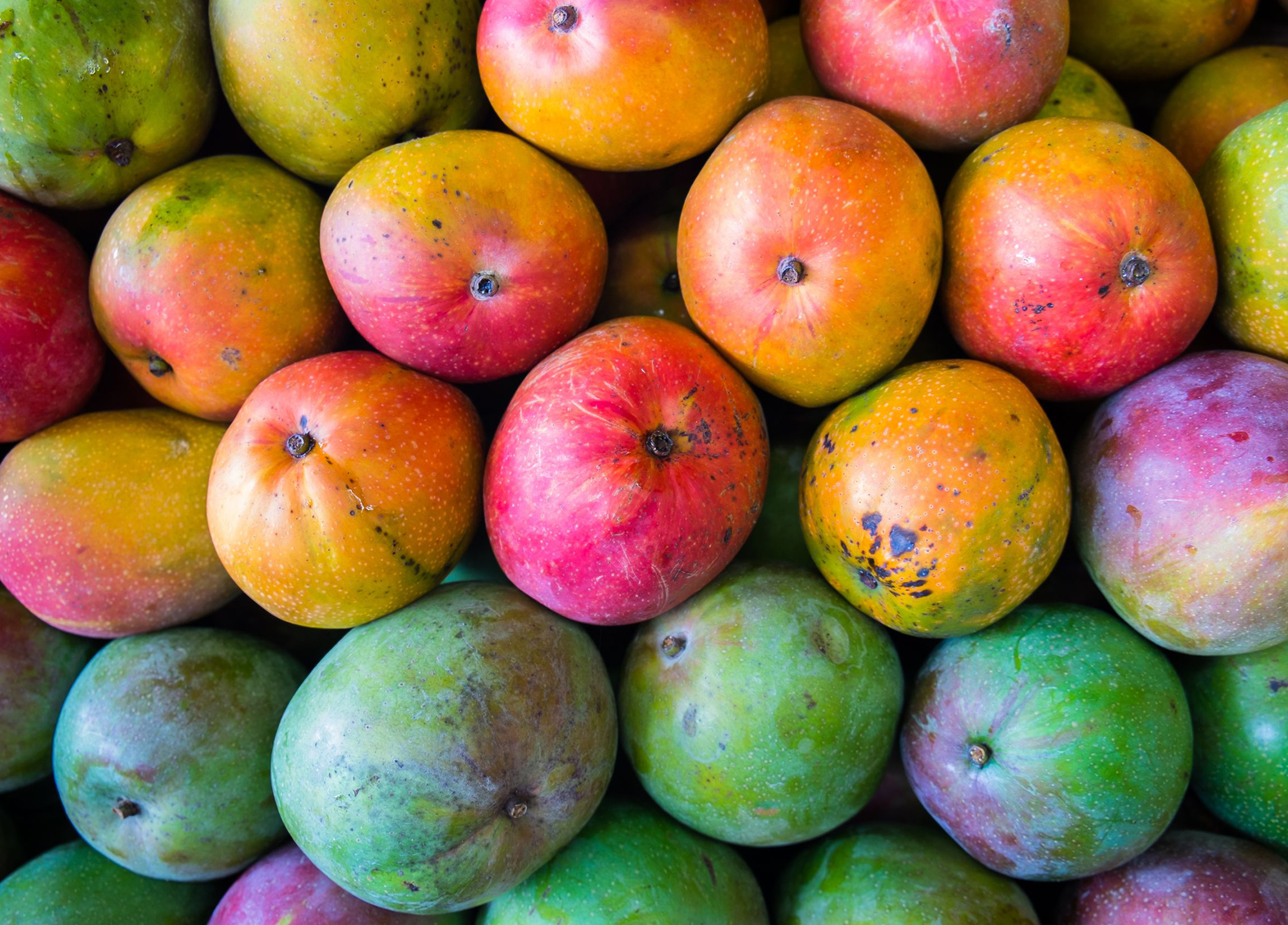 Aweta | Mango Grading and Packing